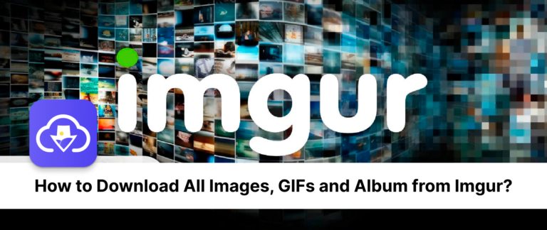 如何从 Imgur 下载所有图像、GIF 和专辑？- Imaget