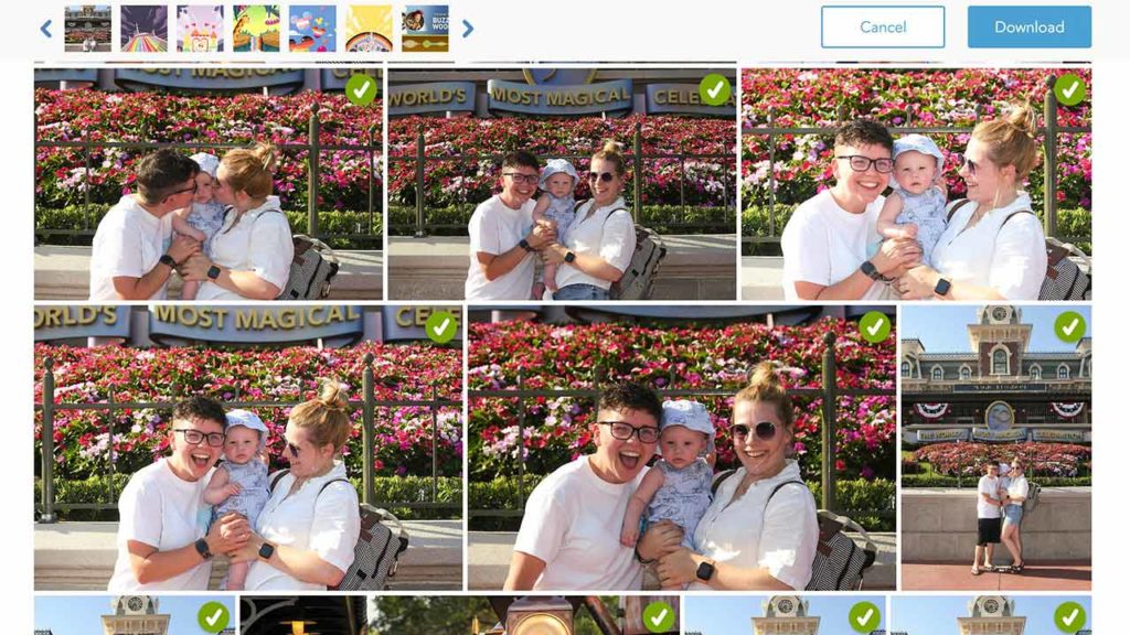 How to Download All Disney Photopass Photos at once? - Imaget