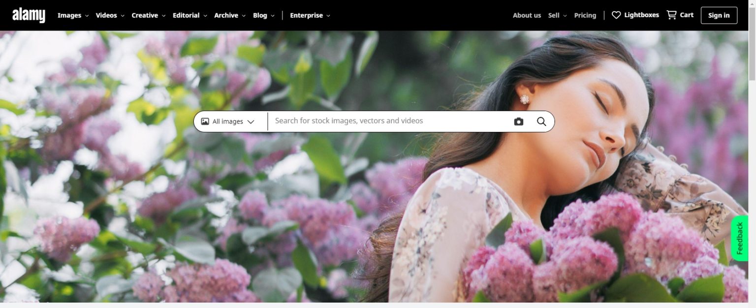 How to Download Alamy Images without Watermark? - Imaget