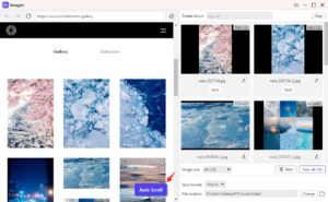 A Comprehensive Guide on How to Download Pictures from VSCO? - Imaget