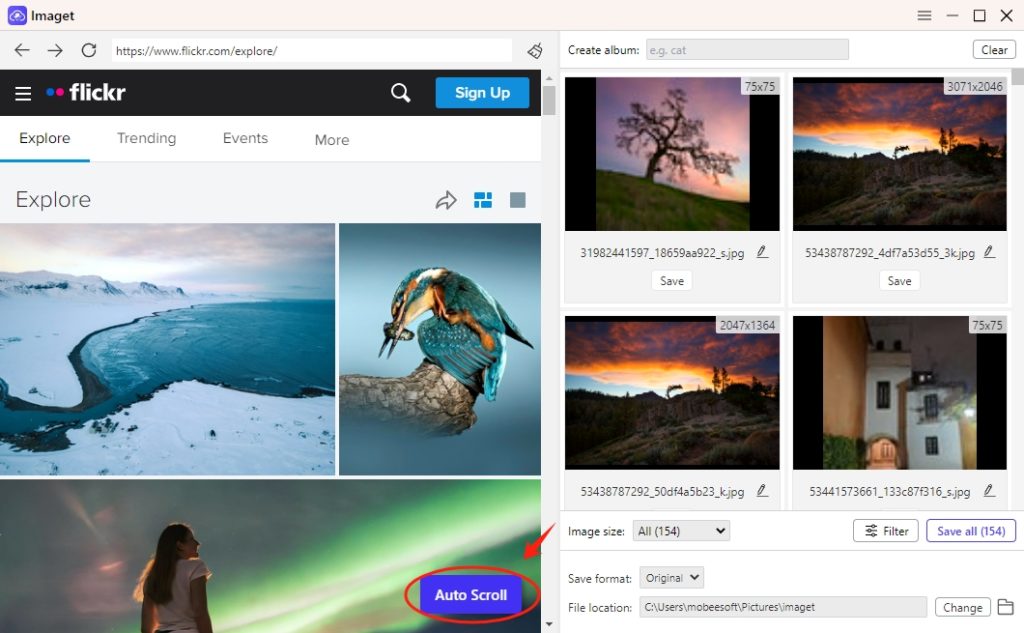How to Download Photos from Flickr? - Imaget