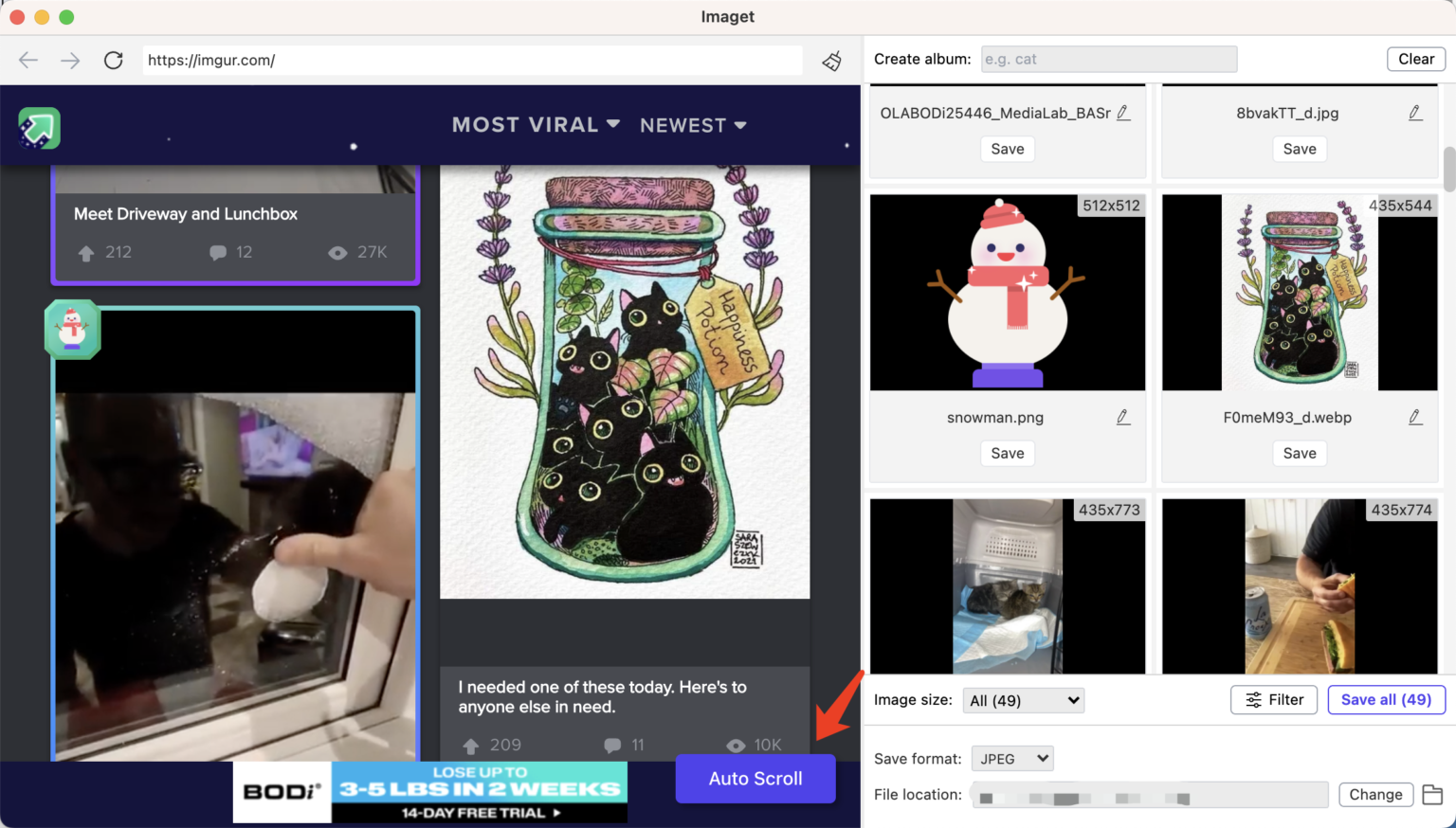 How to Download All Images, GIFs and Album from Imgur? - Imaget