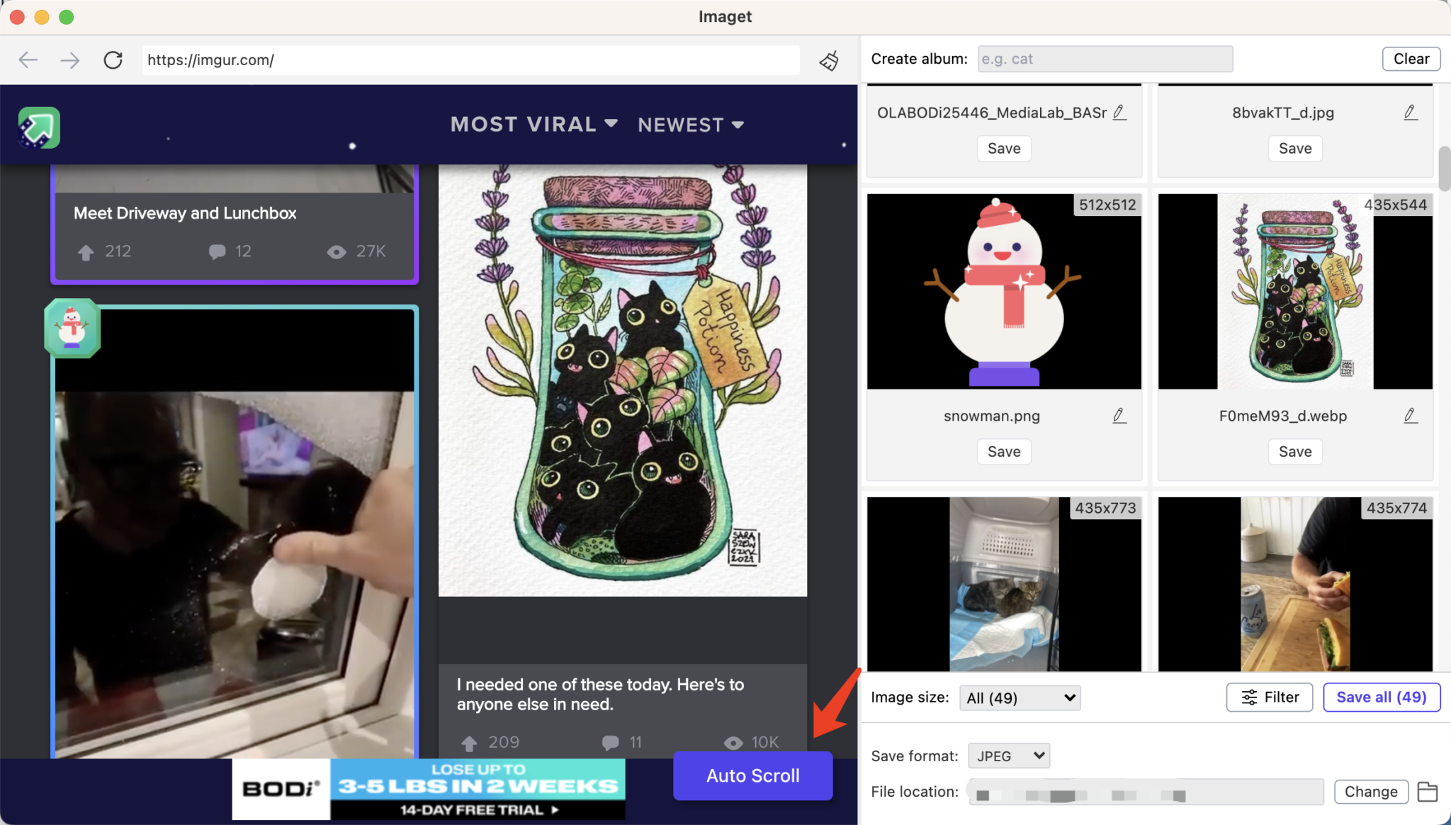 How to Download All Images, GIFs and Album from Imgur? - Imaget