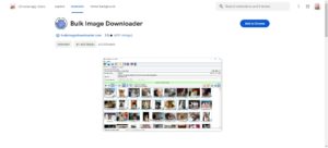 Best Extensions to Download All Images From Websites - Imaget