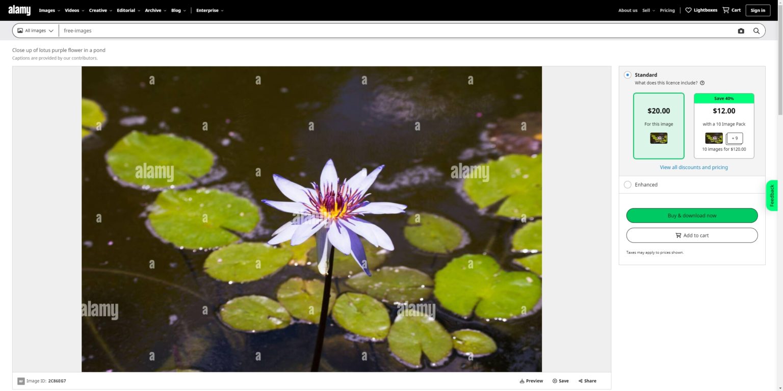 How to Download Alamy Images without Watermark? - Imaget
