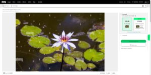How to Download Alamy Images without Watermark? - Imaget