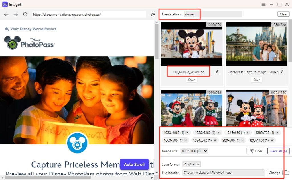 How to Download All Disney Photopass Photos at once? - Imaget