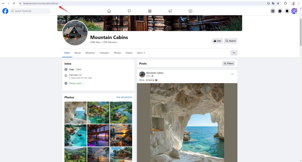 [Download in One-click] Best Facebook Photo Download Methods - Imaget