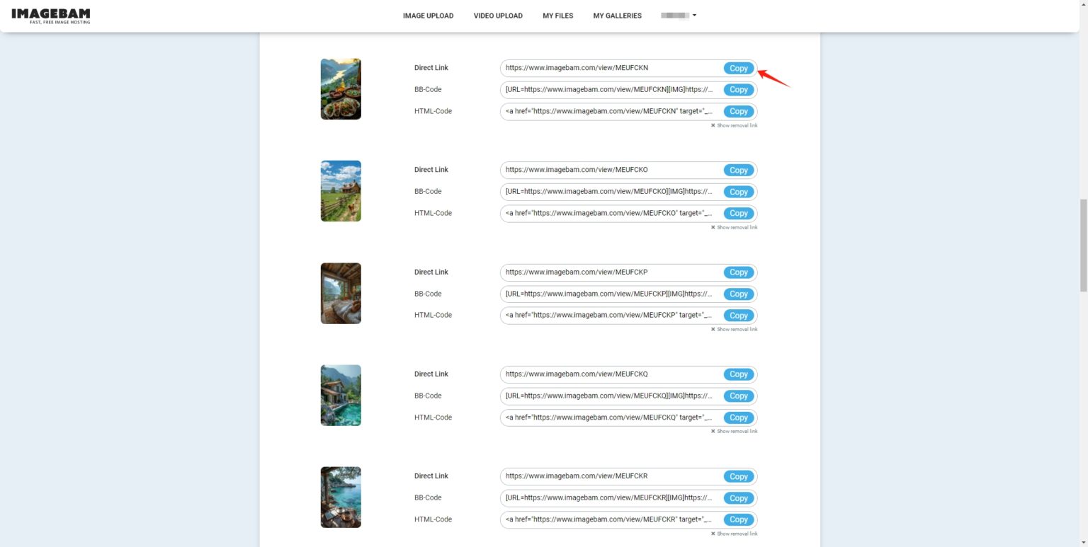 How to Download Images from ImageBam? - Imaget