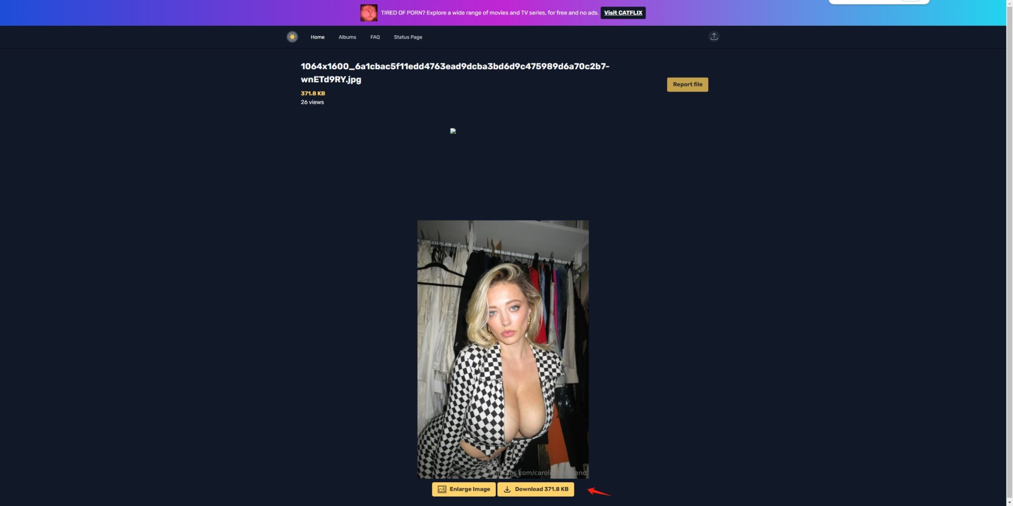 Bunkr Public Albums에서 모든 이미지를 다운로드하는 방법? - Imaget