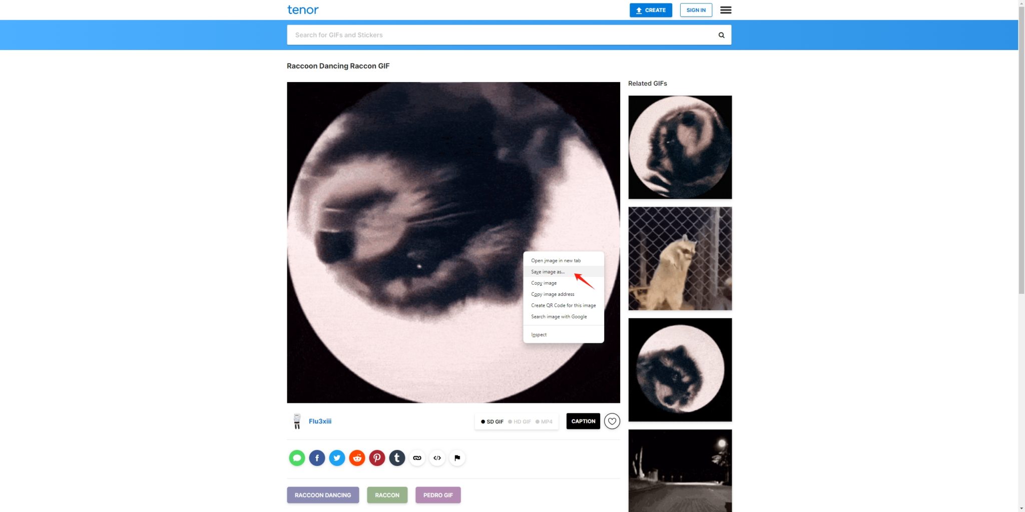 How to Download Pedro Racoon Dancing GIF? - Imaget