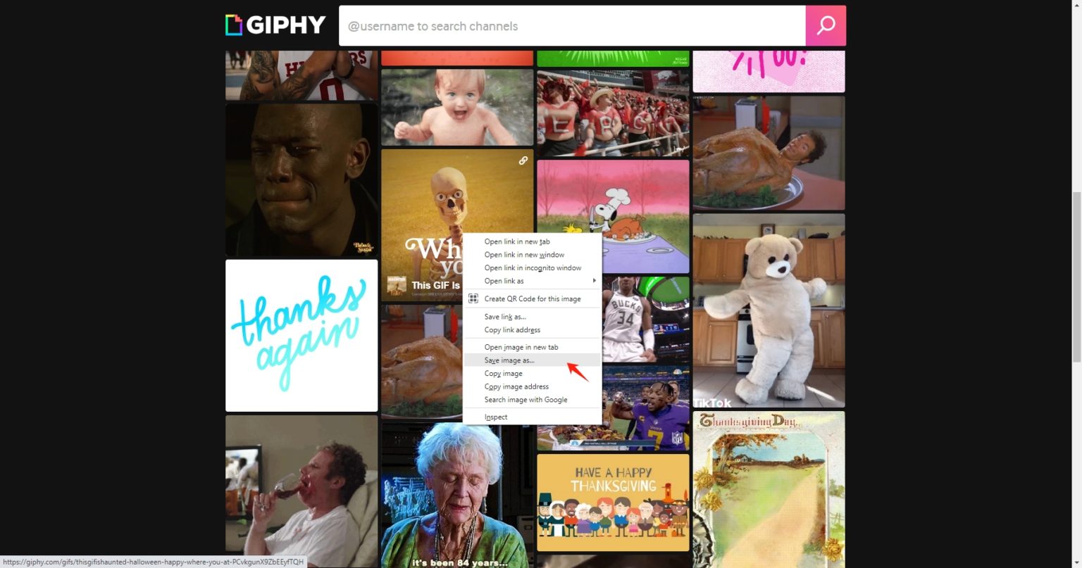 How to Download GIFs on Giphy? - Imaget