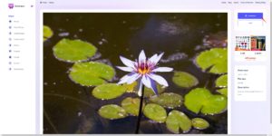 如何下载无水印的Alamy图片？ - Imaget