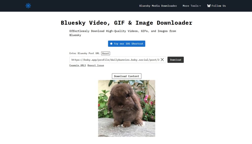 2025 年最实用的 Bluesky 图片和 GIF 下载器 - Imaget