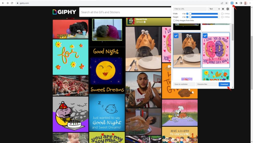 如何在 Giphy 上下载 GIF？- Imaget