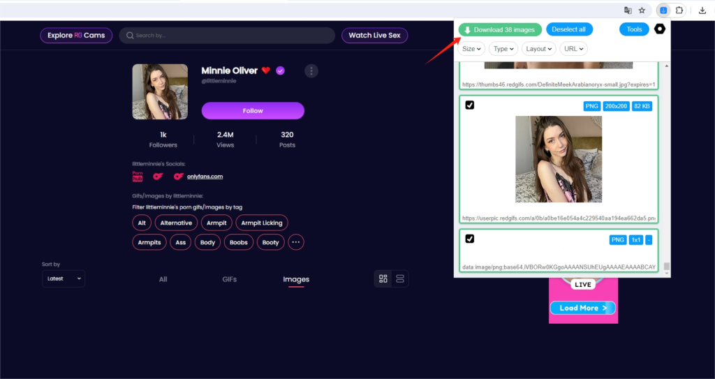 Comment télécharger des images à partir de RedGIF ? - Imaget