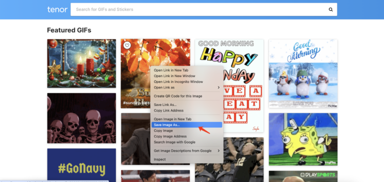 How to Download GIFs from Tenor? - Imaget
