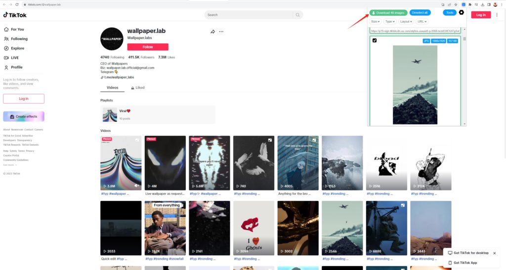 A Comprehensive Guide to Downloading TikTok Pictures - Imaget
