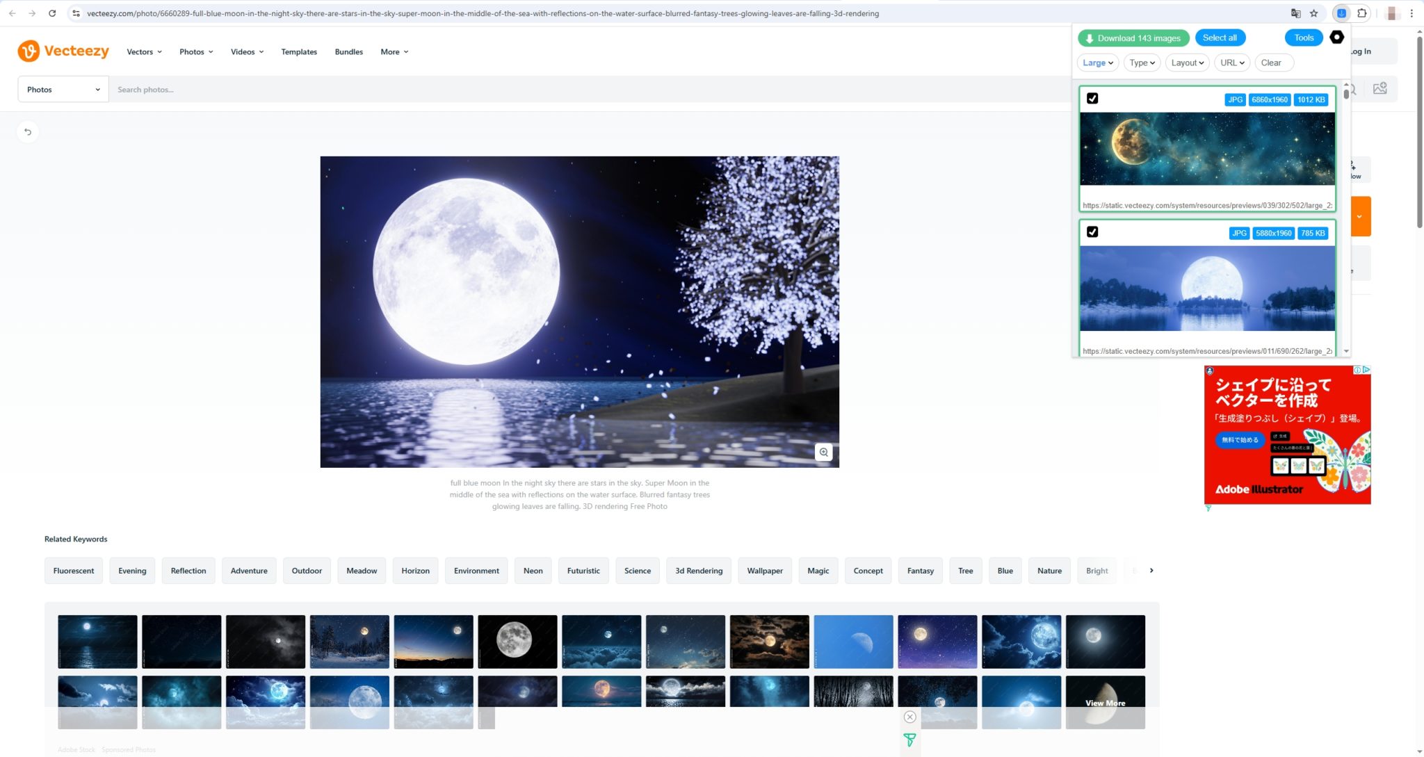 Best Vecteezy Downloaders That You Need to Try - Imaget