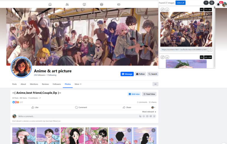 [Download in One-click] Best Facebook Photo Download Methods - Imaget