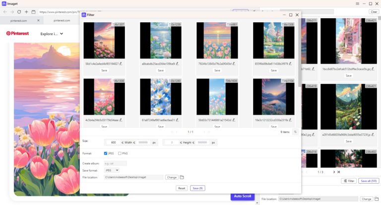 How to Download All JPG from a Website? - Imaget