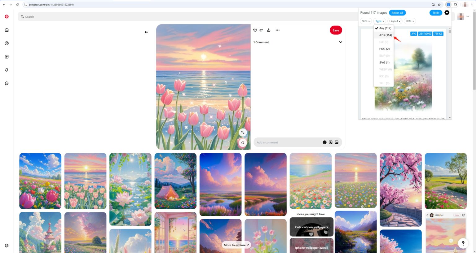 How to Download All JPG from a Website? - Imaget