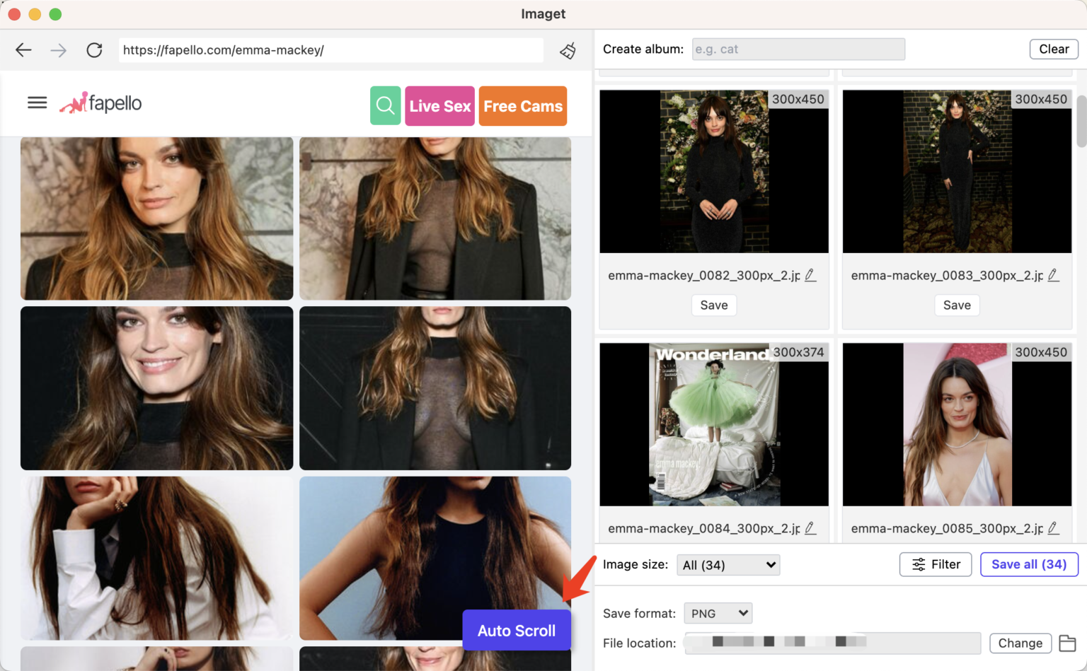 ¿Cómo descargar todas las imágenes de Fapello? - Imaget