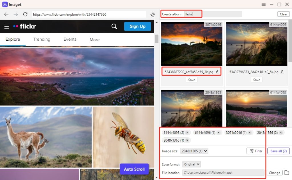 ¿Cómo descargar fotos de Flickr? - Imaget