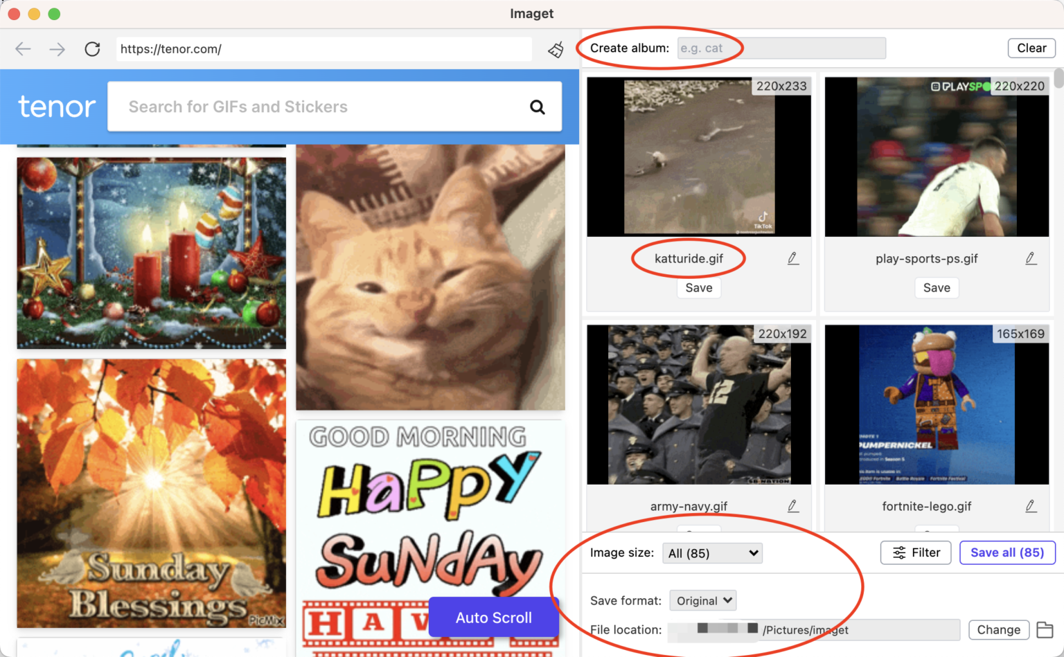 How to Download GIFs from Tenor? - Imaget