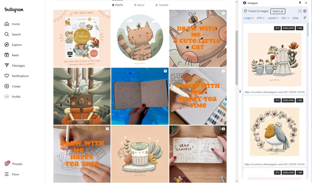 Imageye Overview: Download All Images From Website - Imaget