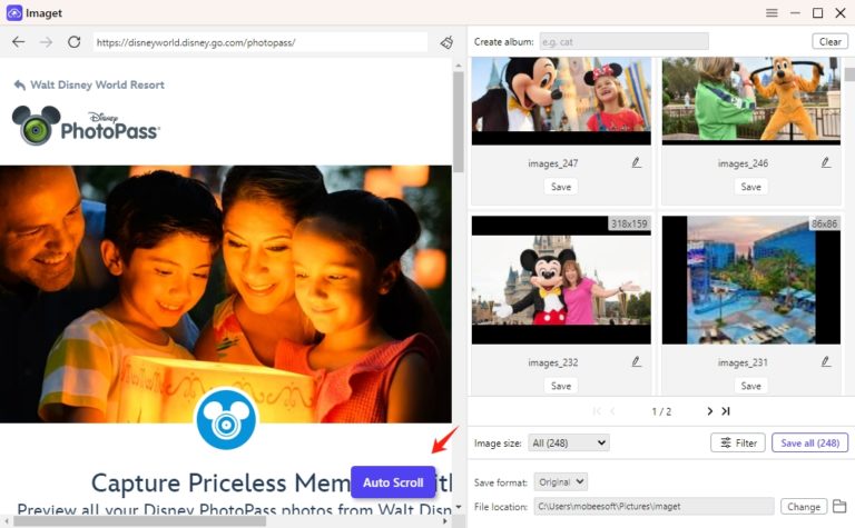 How to Download All Disney Photopass Photos at once? - Imaget