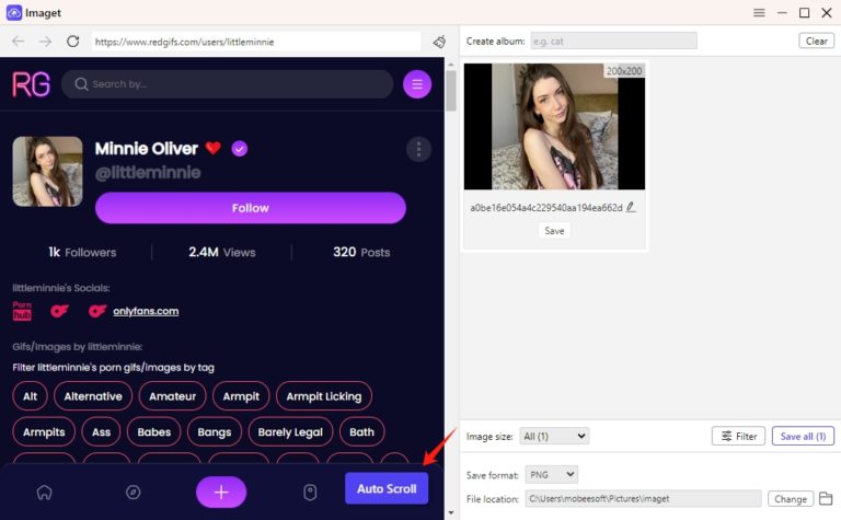 如何从 RedGIF 下载图像？ - Imaget