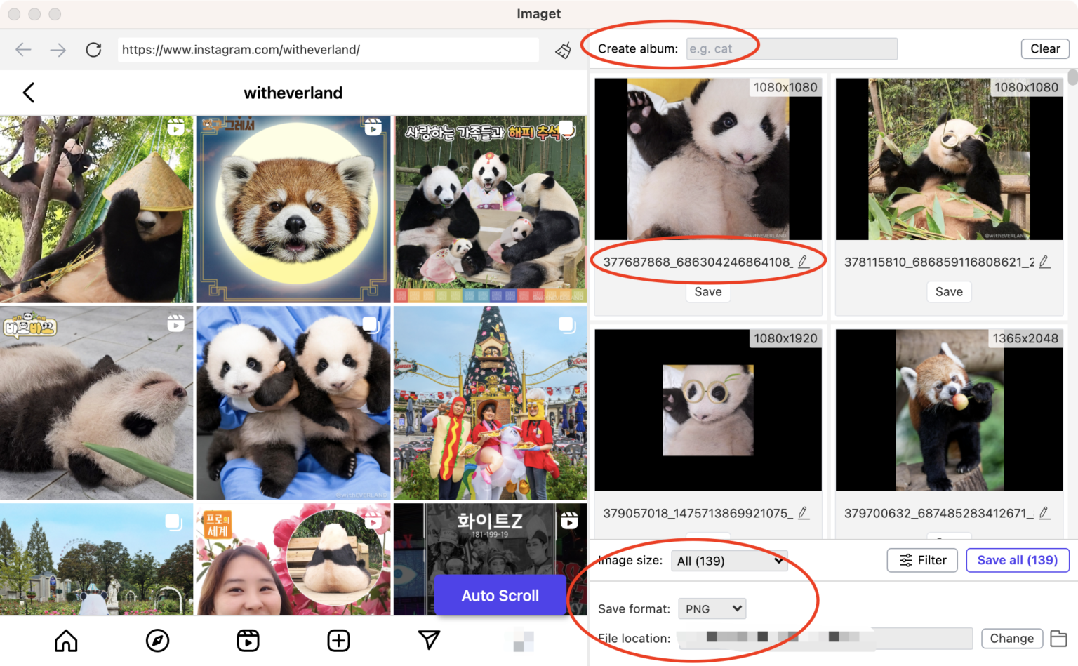 如何将图像保存在 Mac ：有/没有右键单击 - Imaget