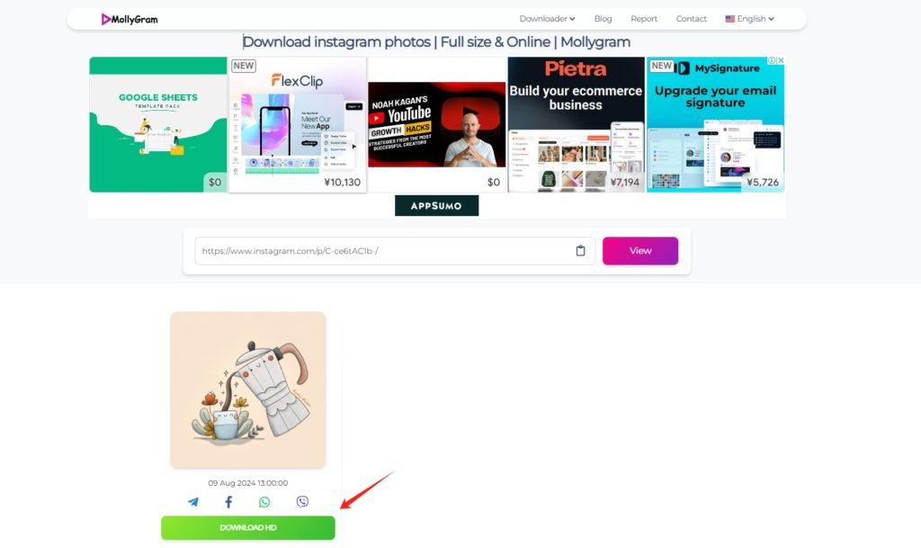 How to Use Instagram Profile Viewers to Download Photos from Instagram ...
