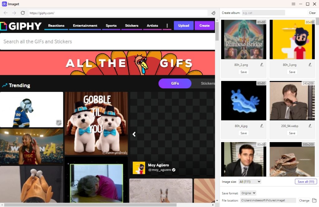如何在 Giphy 上下载 GIF？- Imaget
