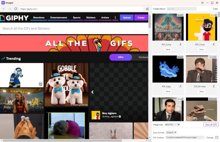 如何在 Giphy 上下载 GIF？- Imaget