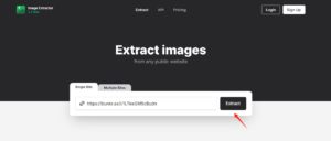 如何从 Bunkr 公共相册下载所有图片？ - Imaget