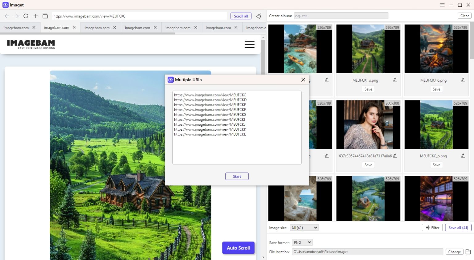 How to Download Images from ImageBam? - Imaget