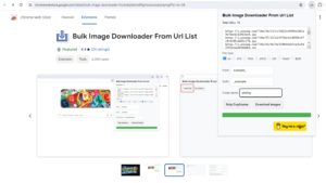 How to Bulk Download Images from URL List? - Imaget