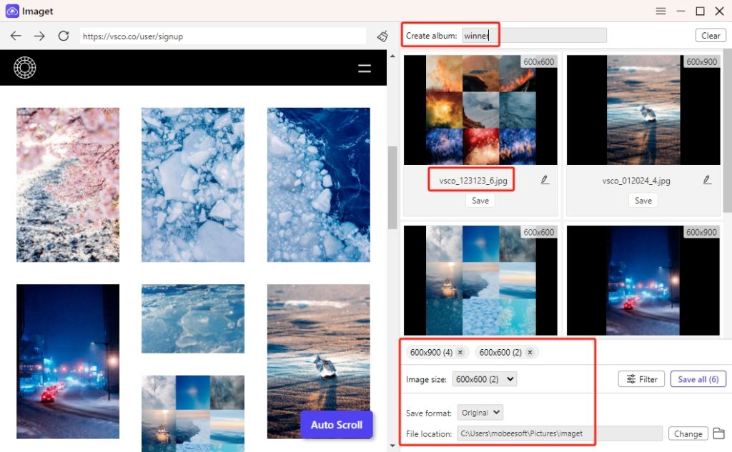 A Comprehensive Guide on How to Download Pictures from VSCO? - Imaget