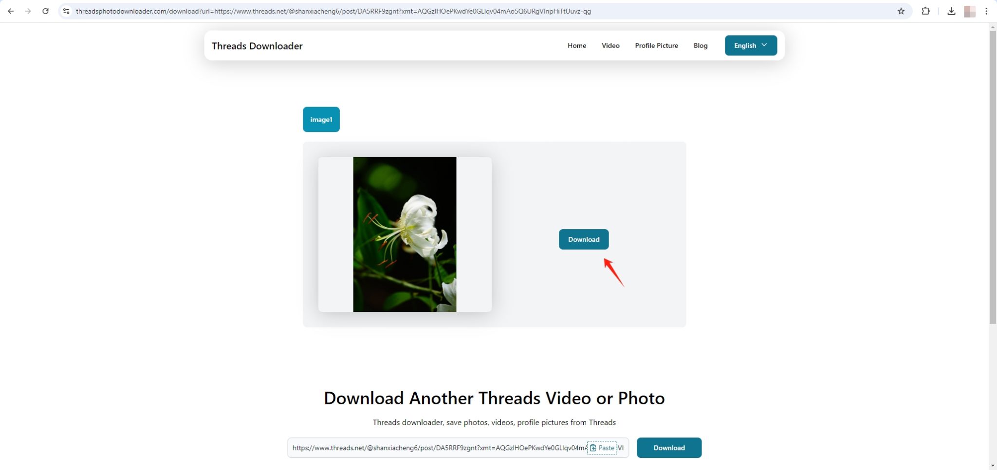 Best Threads Image Downloader to Download Images from Threads - Imaget